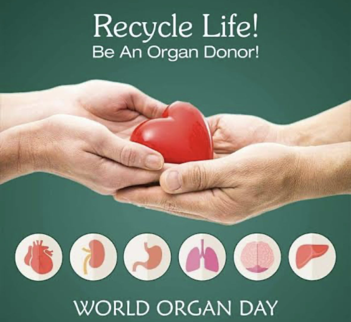 World Organ Donation Day: Who Can Donate, How to donate, Which organ to donate, Why we need ...