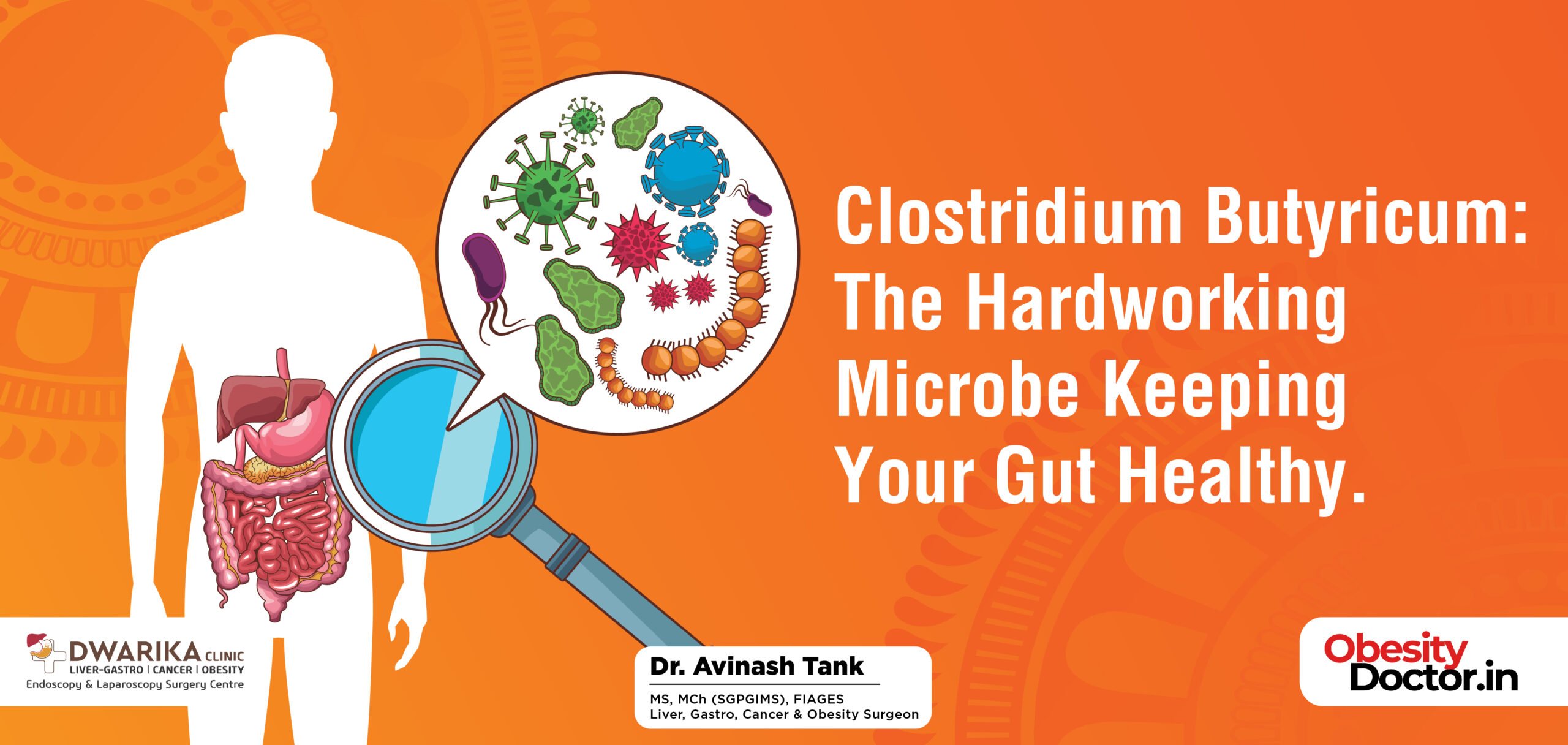 Clostridium Butyricum: The Hardworking Microbe Keeping Your Gut Healthy ...