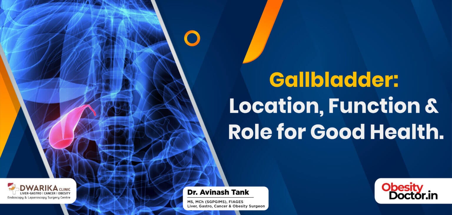 Gallbladder: Location, Function & Role for Good Health. - Dr ...